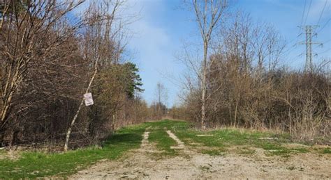 Bike Pedestrian Bridge Between Wood And Lucas Counties Gets Design Funding From Kaptur Bg