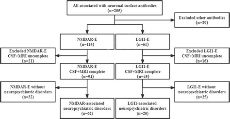 The Process Of Identifying Patients From Autoimmune Encephalitis Ae Download Scientific