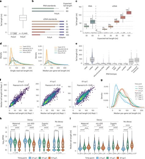 Nano3p Seq Can Be Used To Accurately Estimate Polya Tail Lengths In
