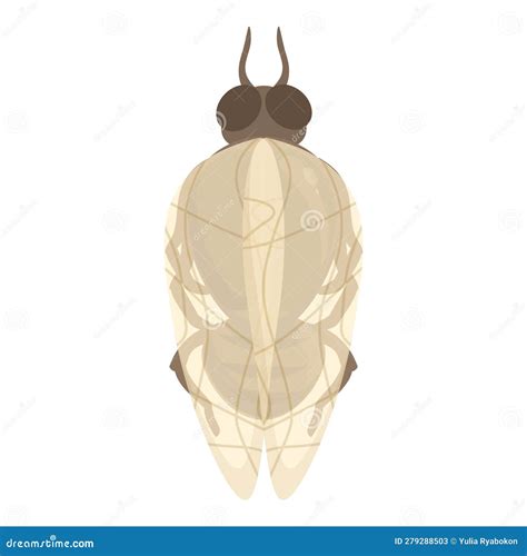 Ancient Tsetse Icon Outline Vector Drosophila Insect Royalty Free