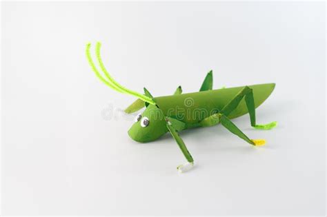 Cardboard Tube Grasshopper Model With Bent Legs Made From Small