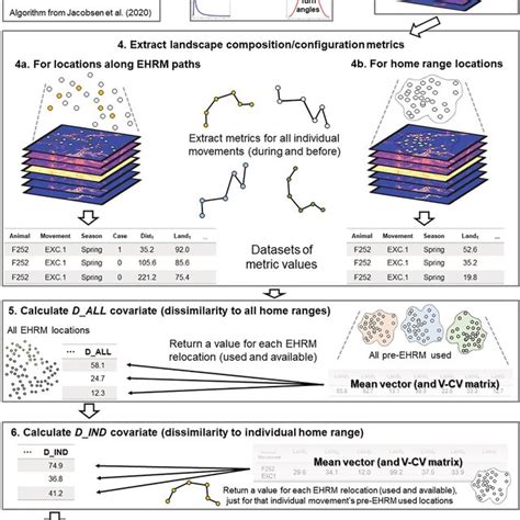 Diagram Detailing The Workflow We Used To Investigate The Influence Of Download Scientific