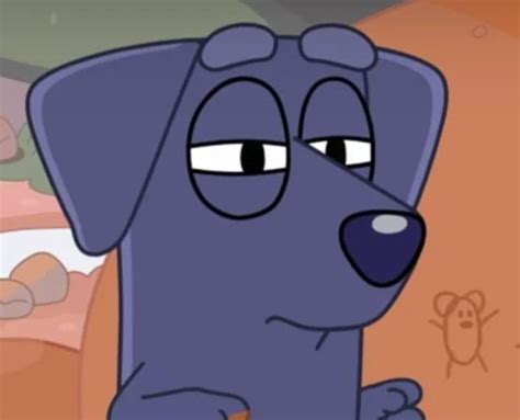 Completely Random Question What Careers Do You Think Bluey And Her Friends Would Pursue After