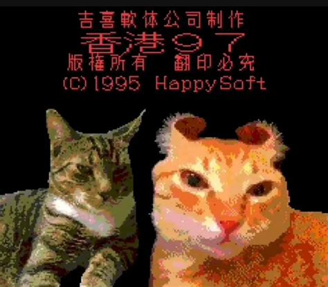 Pin By Nicolau On Design In 2023 Silly Cats Pictures Funny Picture