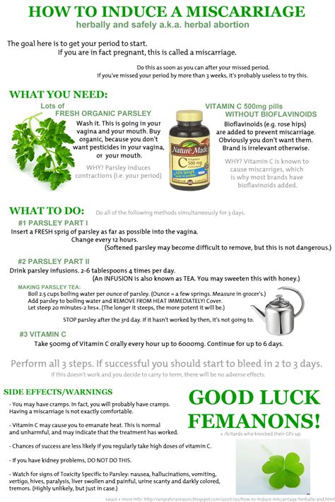Pro Tips But Mostly Bad Advice How To Induce A Miscarriage