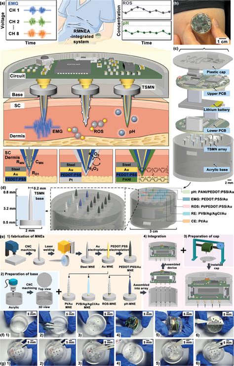 Wearable Systems Of Reconfigurable Microneedle Electrode Array For Subcutaneous Multiplexed