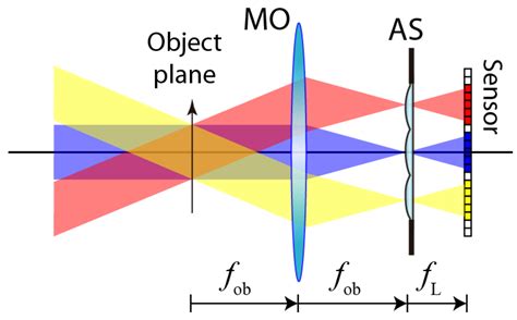 Machine Learning Based View Synthesis In Fourier Lightfield Microscopy