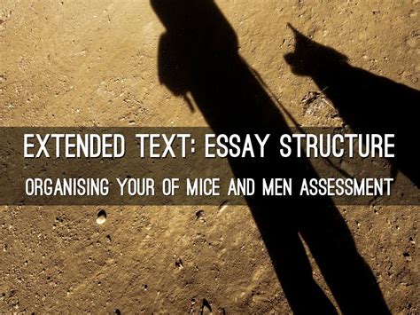 Extended Text Essay Structure By Miss Adamson