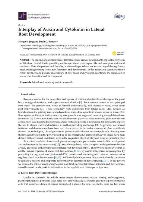 PDF Interplay Of Auxin And Cytokinin In Lateral Root Development