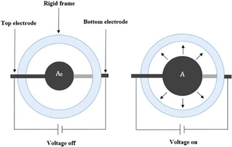 Schematic Setup For Actuation Strain Measurement Download Scientific Diagram