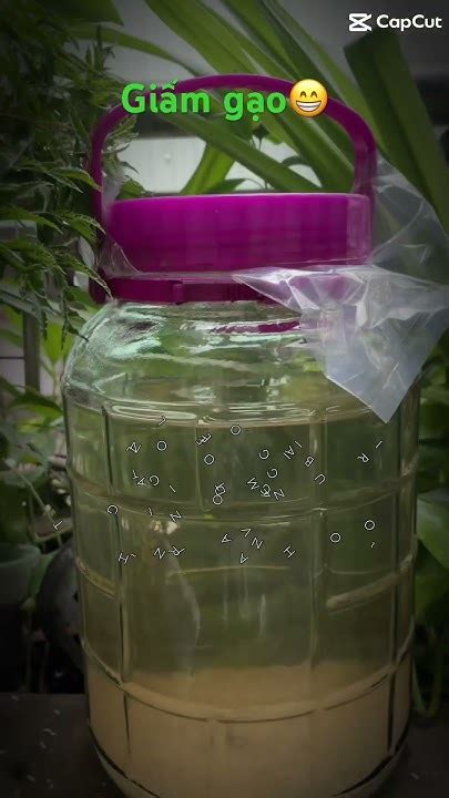 Ngày 6 Tháng 8 2025 Youtube