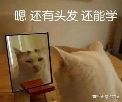 各种专利拿到手软不可思议的MAGICUTTER超声波切割刀到底有什么魔力手工爱好者必入