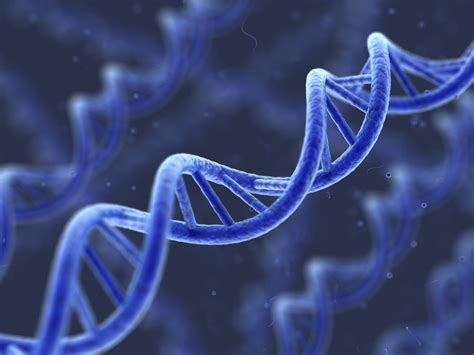 Genetic Engineering Wallpapers Wallpaper Cave