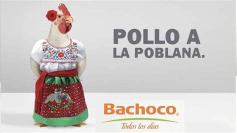 Memes De Pollo A La Poblana Publicidad Bachocho N