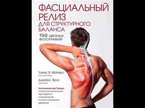 Майерс, Эрлз: Фасциальный релиз для структурного баланса - YouTube