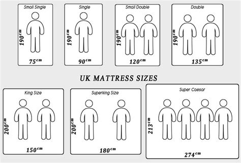 [บทสรุป] ขนาดที่นอน มีทั้งหมดกี่ขนาด บทความนี้มีคำตอบให้ครับ