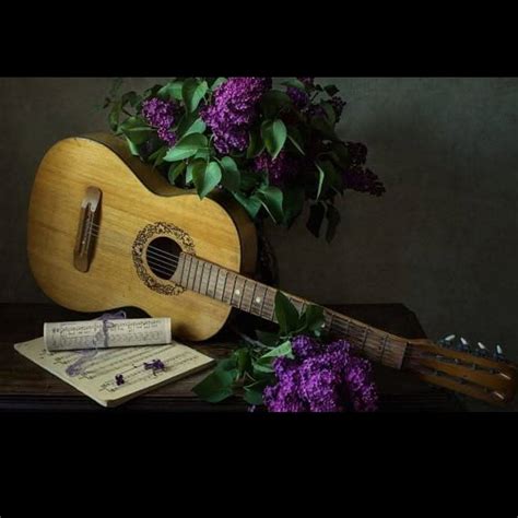 ქართული სიმღერები ქართული სიმღერები აკორდებით გიტარაზე