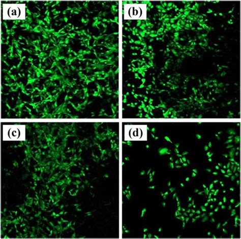 Study On Laser Processing Of Medical Polyether Ether Ketone Surface