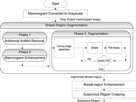 Breast Region Segmentation Download Scientific Diagram