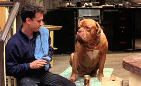 Lyndsy Fonseca And Carra Patterson To Star In Disneys Turner And Hooch