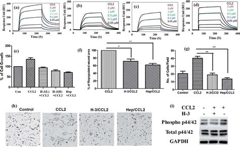Spr Analysis Of Chemokines Binding Profile On Sensor Chip Having Ht