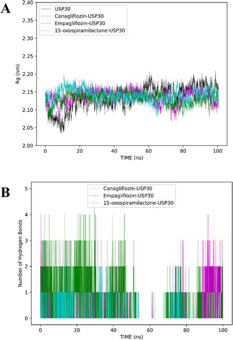 Molecular Dynamics Simulation Of Usp30 Apo Protein Black Download Scientific Diagram