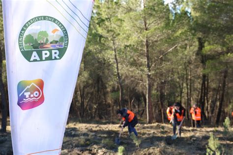 101 Vjetori I Shërbimit Pyjor Shqiptar Veliaj E Festojmë Me 10 Mijë
