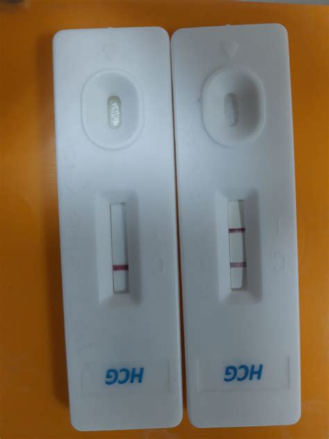 Immunochromatographic Test ICT Introduction Principle Test