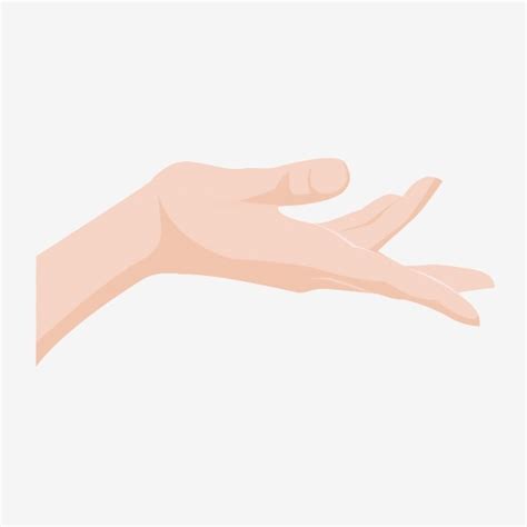 Gesto De La Mano Gesto De Dedo Palma Dedo PNG Gesto Manual Gesto Con