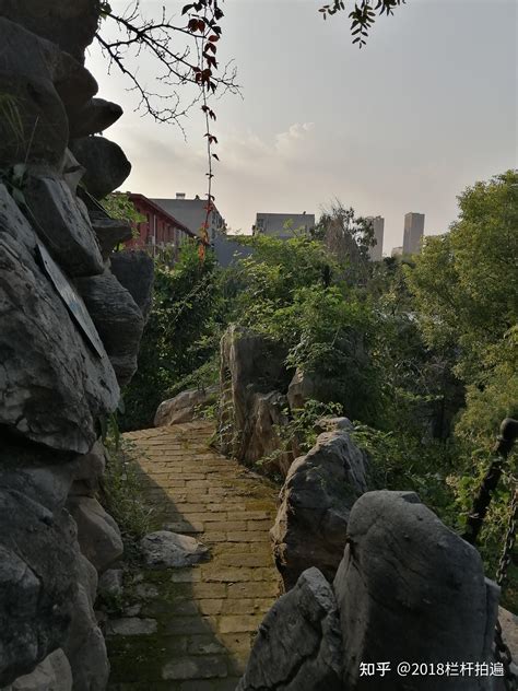 河南南阳王府山 唐王府博物馆下 知乎