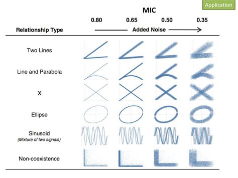 Ppt Detecting Novel Associations In Large Data Sets Powerpoint Presentation Id1591954