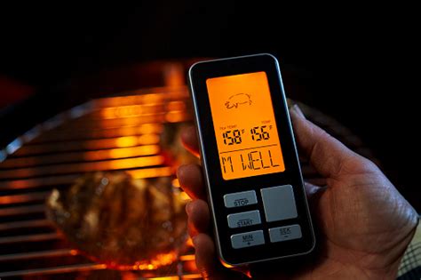 식품 안전 내부 적정 온도 확인 Bbq 그릴에서 구운 돼지갈비 45 49세에 대한 스톡 사진 및 기타 이미지 45 49세