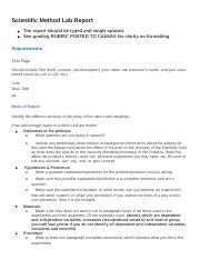 Scientific Method Lab Report 2022Hon 1 Docx Scientific Method Lab
