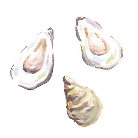 Oister 『web イラ通』