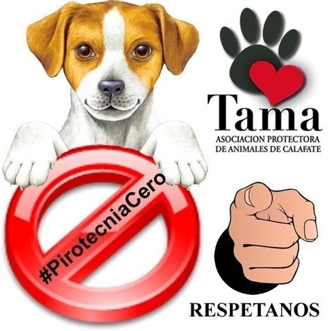 Petición · Sancionar Con Fuerza De Ley Pirotecniacero ·