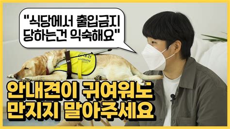 안내견을 한번도 못 보고 죽는 사람이 더 많아요 시각장애인 안내견 주미 Youtube