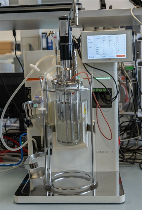 Producción de ácido láctico a partir de azúcares lignocelulósicos C IMDEA ENERGÍA