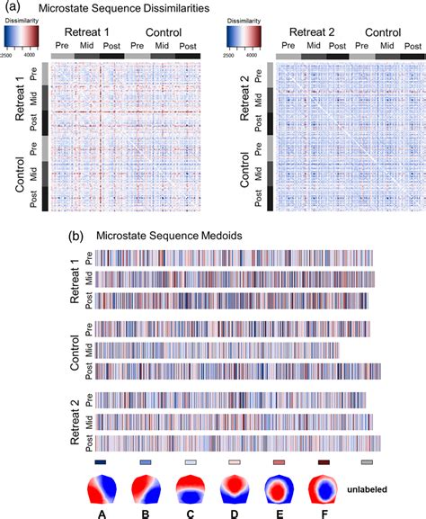 A Symmetrical Matrices Depict The Pairwise Dissimilarities Between