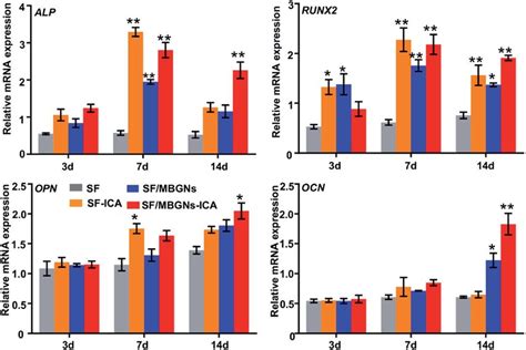 Detection Of Mrna From Selected Osteogenic Markers In Bmscs After 3 D