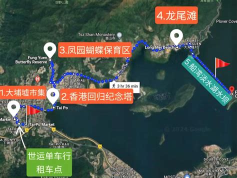 来大埔墟骑行🚲 到底该去哪里？ 泰罗英语小ks 泰罗英语小ks 哔哩哔哩视频