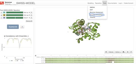 How To Do Protein Structure Comparison By Swiss Model Researchgate