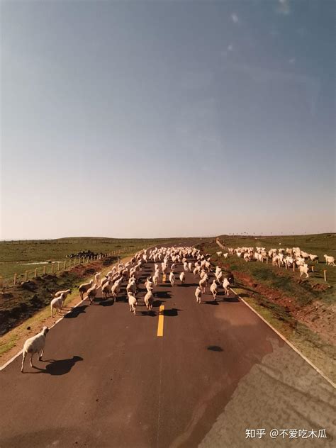 乌兰察布乌兰哈达火山地质公园观光攻略 知乎