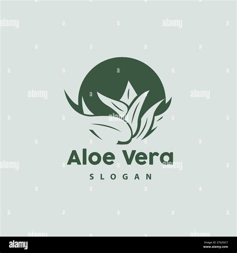 Aloe Vera Logo Herbal Plant Vector Illustration Symbol Icon Simple
