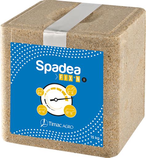 Spadea Fixn B Timac Ch