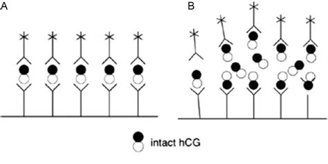 The Hook Effect” Causing A Negative Pregnancy Test In A Patient With An Advanced Molar