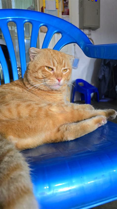 ချောပုလုံးနဲ့ဝမ်ဝမ် မျက်လုံးထဲပုံစံမကျတော့ဘူးနော် Facebook