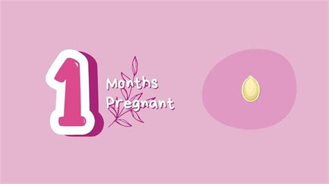 One Month Pregnant Symptoms Can You Feel Symptoms Of Pregnancy After