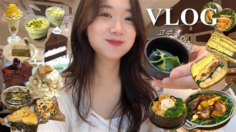 Vlog 일상 브이로그를 빙자한 먹방 브이로그 커피원 러스트베이커리 양키통닭 장미베이커리 요미조미 바이두부 미니마이즈 Youtube