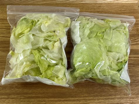 양상추 ‘분홍색 갈변 없이 보관하는 방법 텐꿀팁
