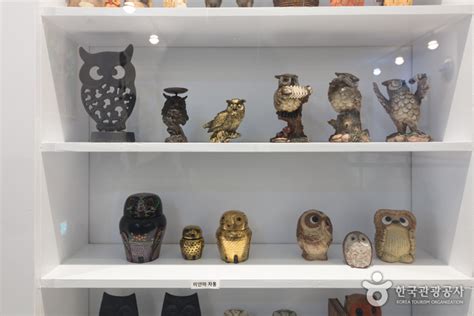 강원도 속초시 부엉이전시관해피아울하우스